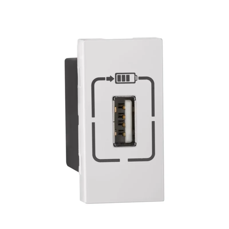 Buy Legrand Lyncus 6772 91 1500 mA 1 Module USB Charger Socket Online